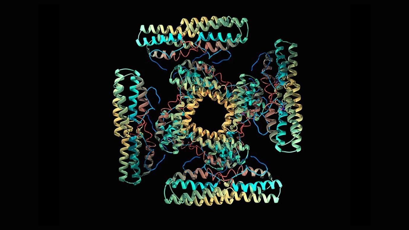 What are artificial proteins?